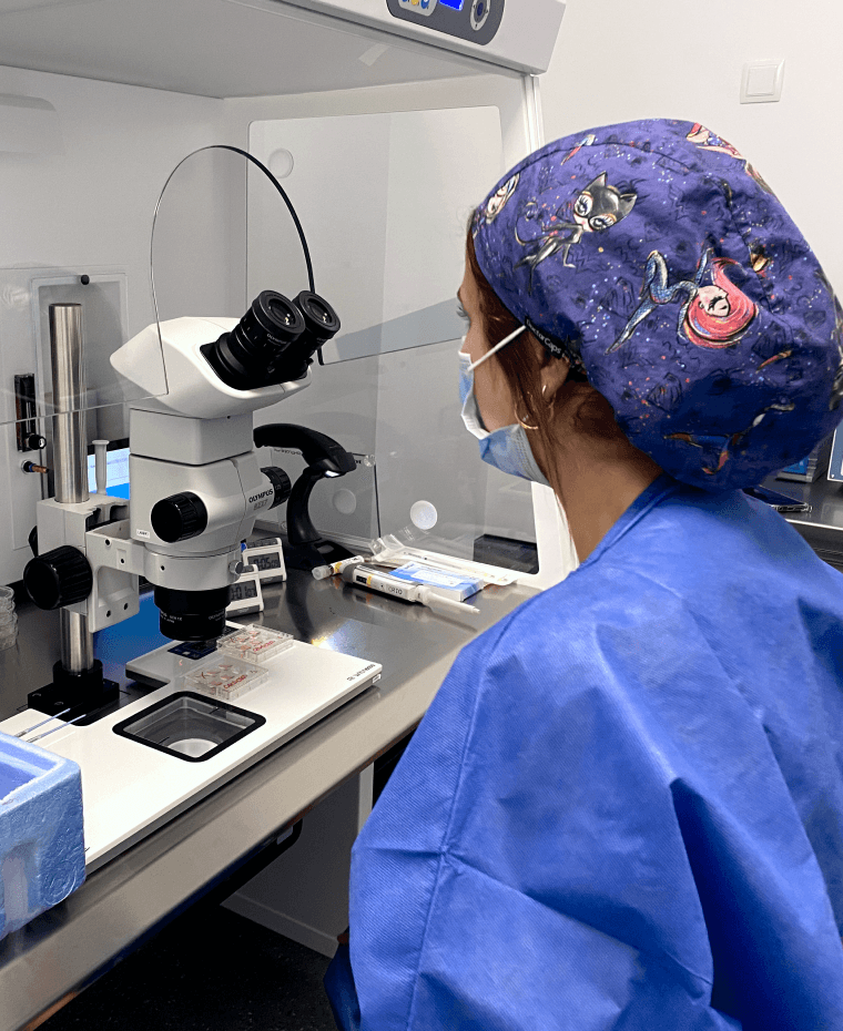 IVF | In vitro fertilization | Reproclinic Barcelona